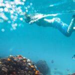 Nha Trang Half-Day Snorkeling Adventure at Marine Park with BBQ - Relaxation at Bai Tranh Beach