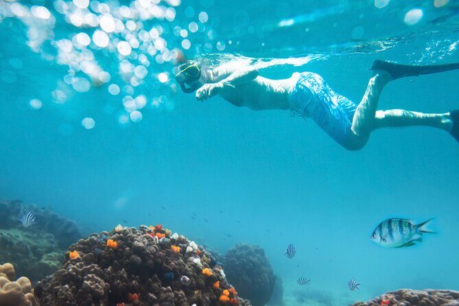 Nha Trang Half-Day Snorkeling Adventure at Marine Park with BBQ - Relaxation at Bai Tranh Beach