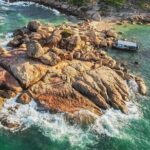 Nha Trang Half Day Tour: Best Highlights & Secret Spots - The Museum of Oceanography: Marine Life and Underwater Marvels