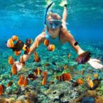 Nha Trang Mun Island Snorkeling Coral Reef Tour with BBQ Lunch - A Detailed Look at the Itinerary
