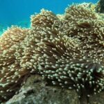 Nha Trang: Private fishing tour: Snorkeling - Fishing -Mini Beach - An In-Depth Look at the Experience