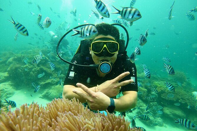 Nha Trang Scuba Diving Experience : Two Dives with Lunch - The Experience: Diving, Snorkeling, and Marine Biodiversity