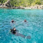 Nha Trang Scuba Diving Tour: 2 Dives for Beginners at Marine Park - Who Should Consider This Tour?