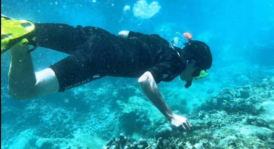 Nha Trang: Snorkeling at Marine Park and Enjoying Lunch - In-Depth Look at What You’ll Experience