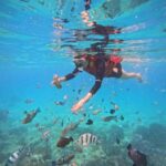 Nha Trang: Snorkeling at Marine Park with Lunch - First Stop: Hon Mun Island – The "Natural Aquarium"