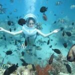 Nha Trang Underwater Adventure with Sea Walking and Local Cuisine - The Details: What’s Included and What’s Not