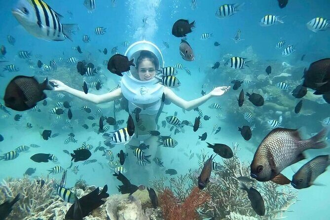 Nha Trang Underwater Adventure with Sea Walking and Local Cuisine - The Details: What’s Included and What’s Not