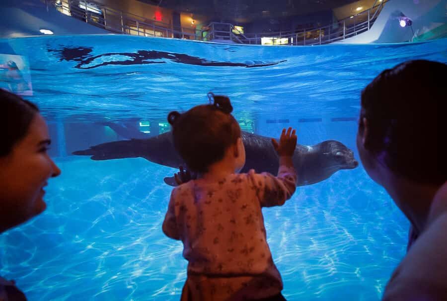 Niagara: Aquarium of Niagara General Admission - Who Will Love This Experience?