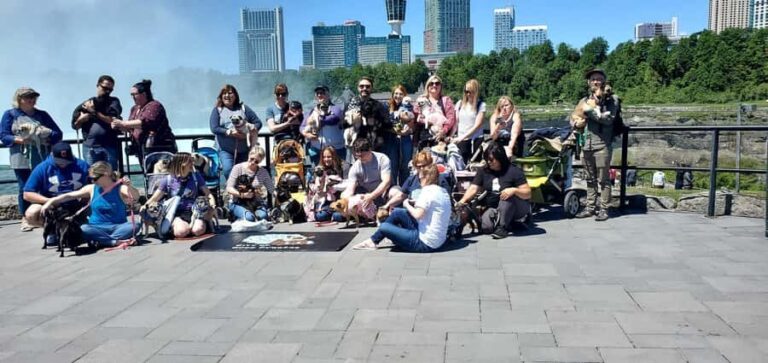 Niagara Falls Winter Wonderland Tour - Itinerary Breakdown: What You Can Expect