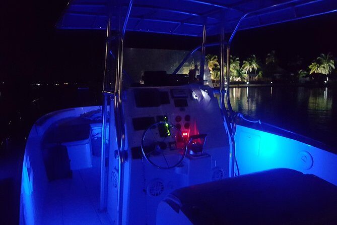 Night Bioluminescence Snorkel Tour - Inside the Details: What Makes This Tour Stand Out