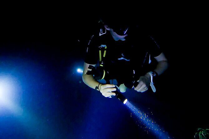 Night dive at Tugboat Beach in Curacao - Booking and Practical Information