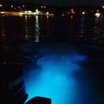 Night Excursion Experience at Luminous Lagoon - Who This Tour Is Best For