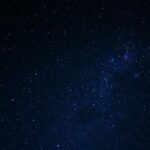 Night Mangrove Kayak Tour - What Past Guests Say