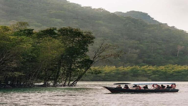 Night Safari Mangrove Tour with Guide & BBQ Buffet - What Makes It Special?