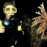 Night Shore Diving Mangel Halto Aruba for Certified Divers - Who Will Enjoy This Tour?