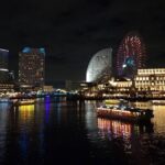 Night Walking Tour Yokohama, Walk and Discover with a Local - An In-Depth Look at the Yokohama Night Tour