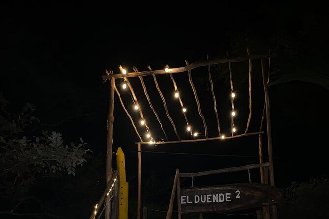 Night Zipline Adventure with Dinner and Show in Puerto Vallarta - Who Would Love This Tour?