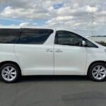 Nightlife Private Tour of Antigua and Barbuda - What the Tour Involves