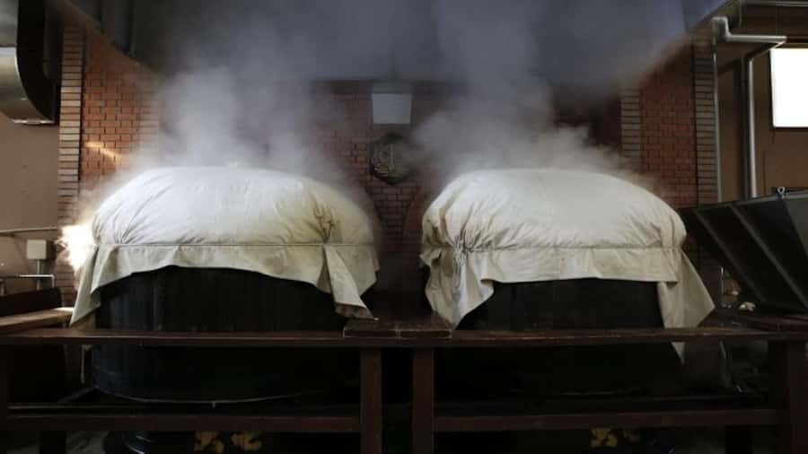 Nihonmatsu: Daishichi Sake Brewery Tour and Tasting - Practical Details and Tips