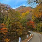 Nikko Cycling Tour with Local Guide - What’s Included and What to Expect