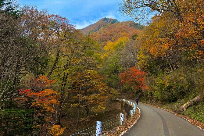 Nikko Cycling Tour with Local Guide - What’s Included and What to Expect