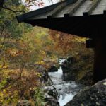 Nikko Private Day Tour  Temples, Nature & Hidden Gems - The Practicalities: What You Should Know