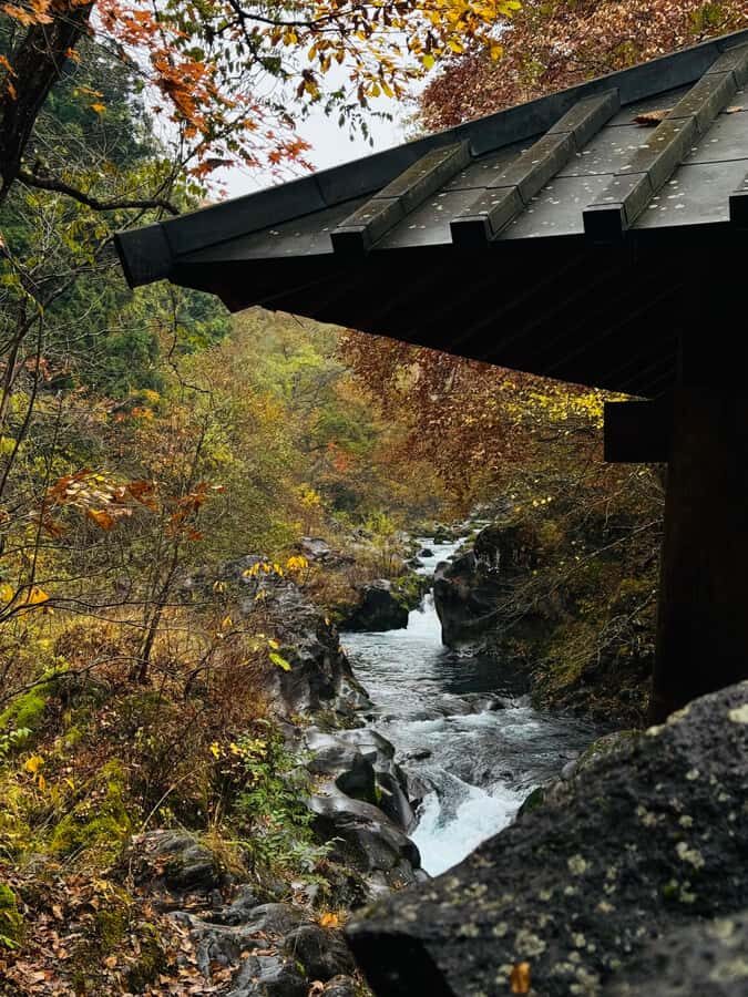 Nikko Private Day Tour  Temples, Nature & Hidden Gems - The Practicalities: What You Should Know