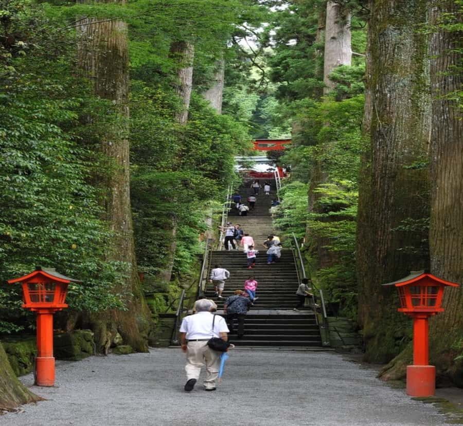 Nikko: Private Hakone Nature & Culture Day Trip - Exploring the Itinerary in Detail