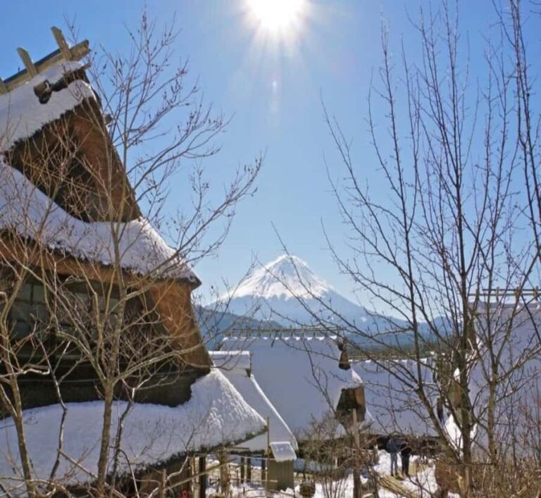 Nikko: Private Mount Fuji Day Trip with Hotel Pickup - Who Will Love This Tour?