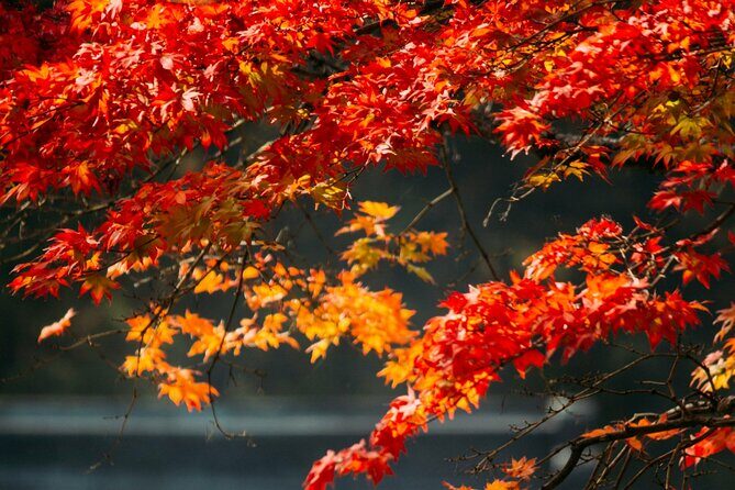 Nikko Private Sightseeing Customized English Day Tour - Who Should Consider This Tour?