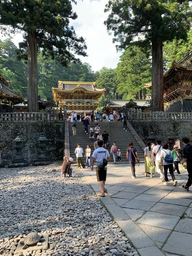 Nikko: Private Walking Tour of World Heritage Sites - Final Thoughts: Is This Tour Right for You?