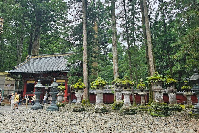 Nikko: Sacred Mountains, Shoguns, & Japans Spiritual Heart - Who Should Take This Tour?