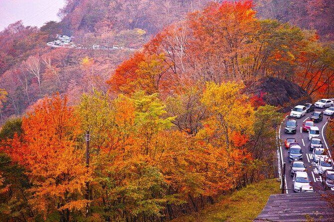 Nikko: Shrine, Waterfall and Autumn Leaves by Car (Private Tour) - Who Should Consider This Tour?