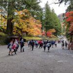 Nikko Toshogu and Kegon Waterfall with Certified Japanese Guide - A Closer Look at the Itinerary and Experience