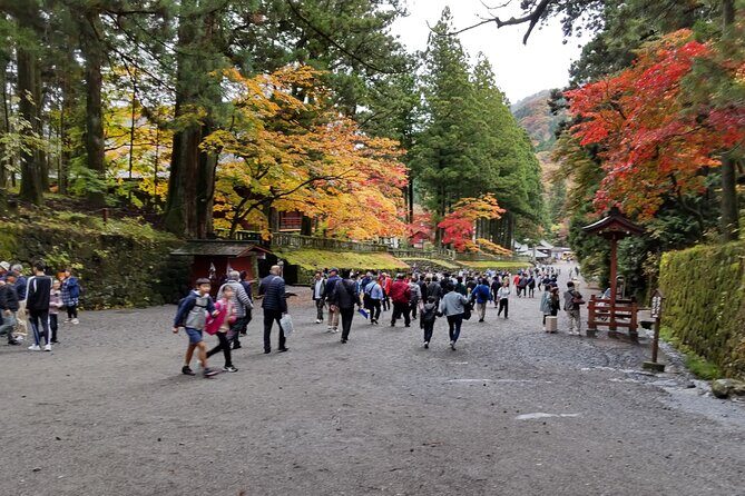 Nikko Toshogu and Kegon Waterfall with Certified Japanese Guide - A Closer Look at the Itinerary and Experience