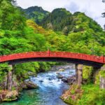 Nikko Unesco World Heritage Private Full Day Tour With Guide - What Makes This Tour Stand Out?