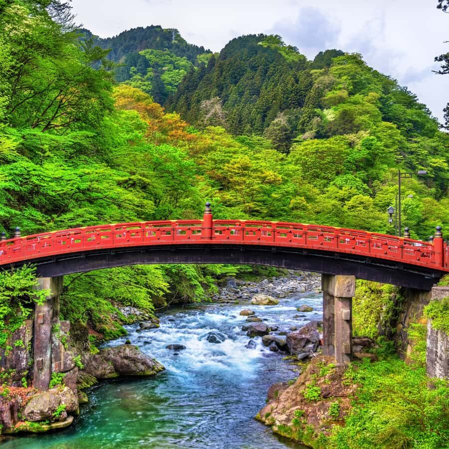 Nikko Unesco World Heritage Private Full Day Tour With Guide - What Makes This Tour Stand Out?