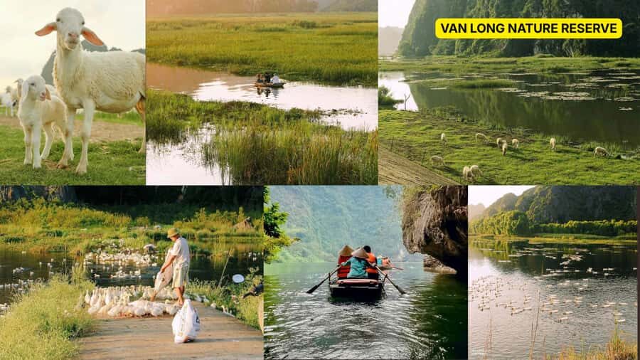 Ninh Binh: 2-hour Cooking Class & 4-hour Jeep Adventure - Practical Considerations and Value