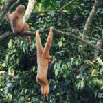 Ninh Binh: CUC PHUONG Park Jungle Hike Day Tour, SMALL GROUP - What Does the Tour Offer in Terms of Value?