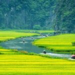 Ninh Binh Day Trip from Hanoi with Tam Coc or Trang An & Mua Cave - Final Thoughts: Is This Tour Right for You?