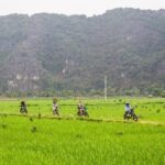 Ninh Binh E-Bike Tour - Ninh Binh's Must-See Highlights - Itinerary Breakdown: What to Expect at Each Stop