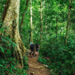 Ninh Binh: Full-Day Trekking Explore Cuc Phuong National Park - What Travelers Say