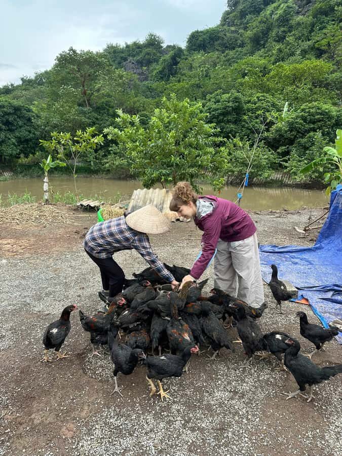 Ninh Binh: Half-Day Cooking Class at a Local Home - Experience Breakdown and What to Expect