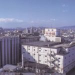 Nishinomiya: Nihonsakari Sake Brewery Tour and Tasting - The Itinerary: A Deep Dive into Sake Craftsmanship