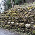 No Emission Car and Bullet Train Kyoto Shore Excursion from Kobe - What to Expect from the Overall Experience