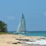 No1Sxm Half Day Sail Snorkeling and Sunset Experience - Authentic Feedback and What It Tells Us