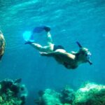 Norman Island - The Caves & The Indians - Sailing & Snorkel Tour - Exploring Norman Island: An Overview