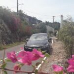 Norman Manley Airport & Kingston to Montego Bay - Why Choose This Transfer?