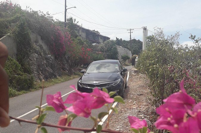 Norman Manley Airport & Kingston to Montego Bay - Why Choose This Transfer?