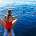 North Bali: Dolphin Watching and Snorkeling Tour - The Full Experience: What to Expect